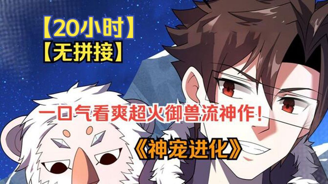一口气看完 | 超爽漫画解说《神宠进化》【20小时】无拼接无PDD,...