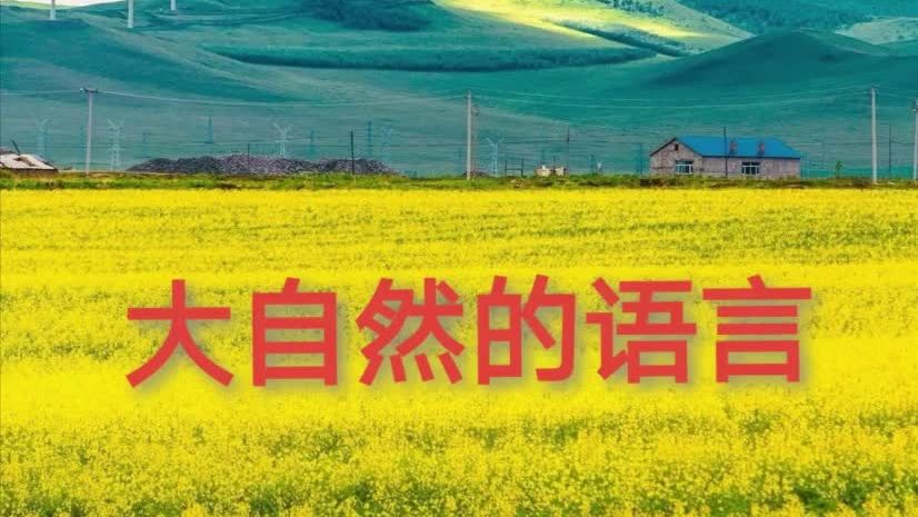 《大自然的语言》-竺可桢