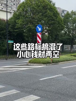 这个路标代表什么你知道吗#用车知识 #每天一个汽车知识