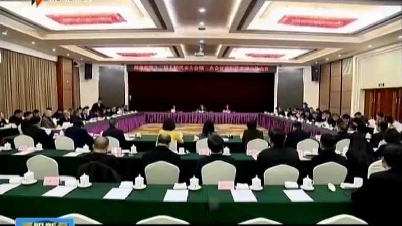 湖南省十三届人大三次会议岳阳代表团举行全团会议