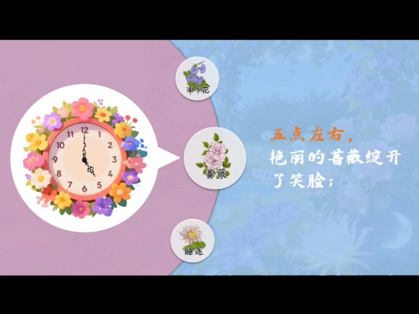 三下《花钟》,一天之内不同的花开放的时间不同,PPT展示