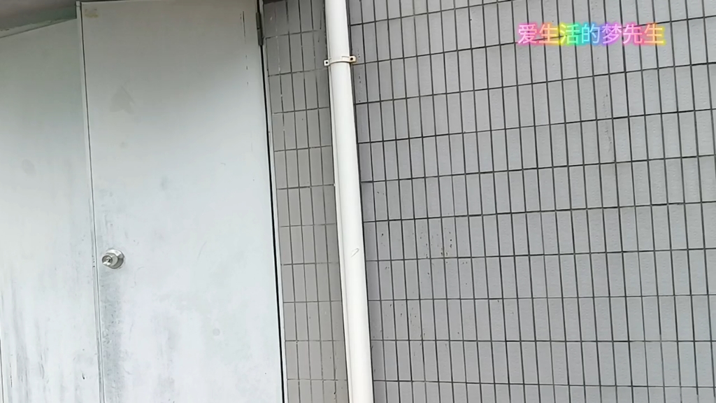 管卡 接水管时候起固定作用