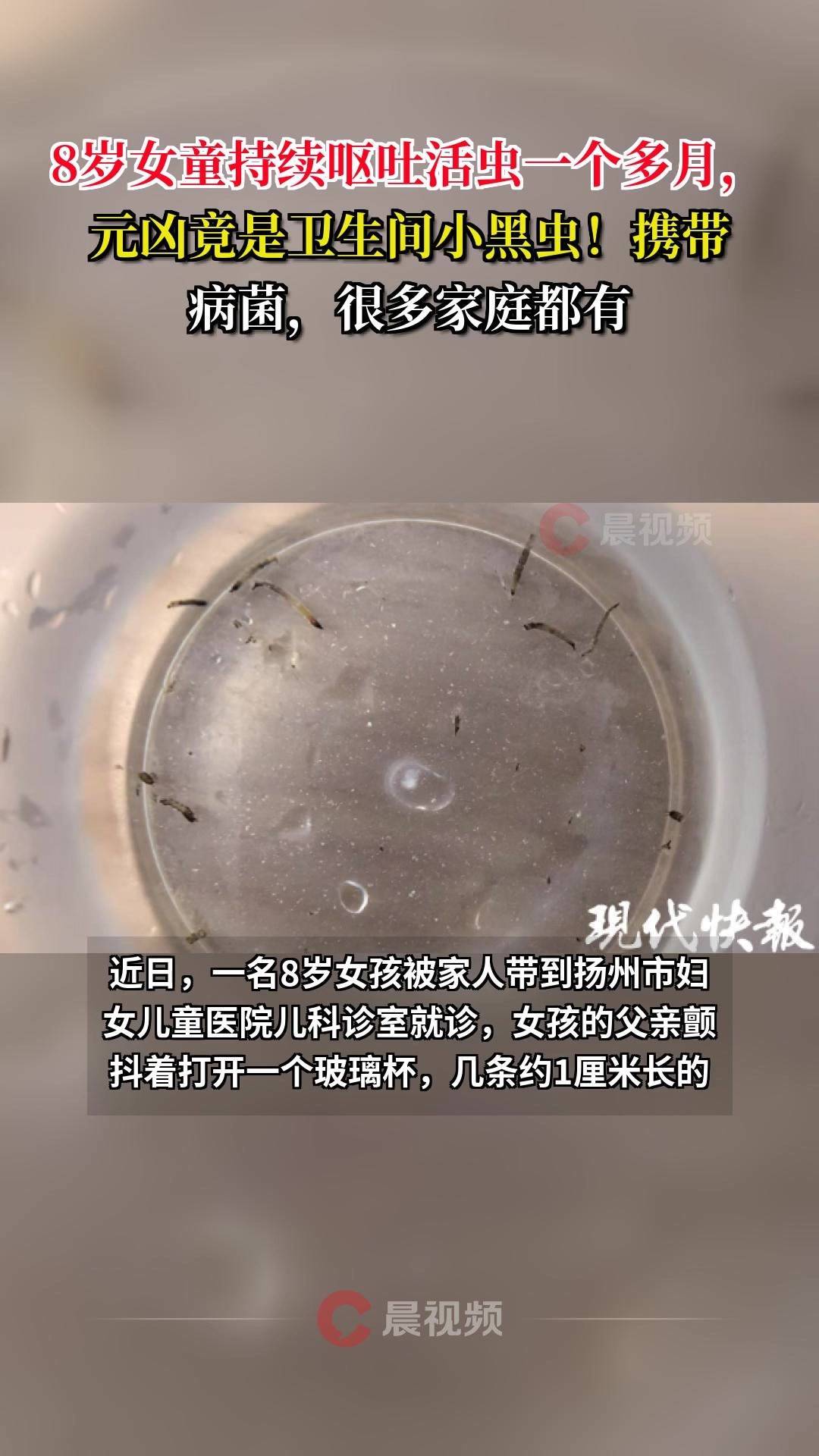 8岁女童持续呕吐活虫一个多月,元凶竟是卫生间小黑虫!携带病菌,很多...