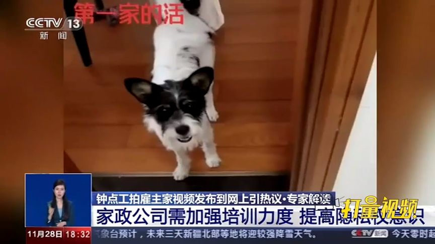 哪些情况下家政公司需要承担法律责任?|共同关注
