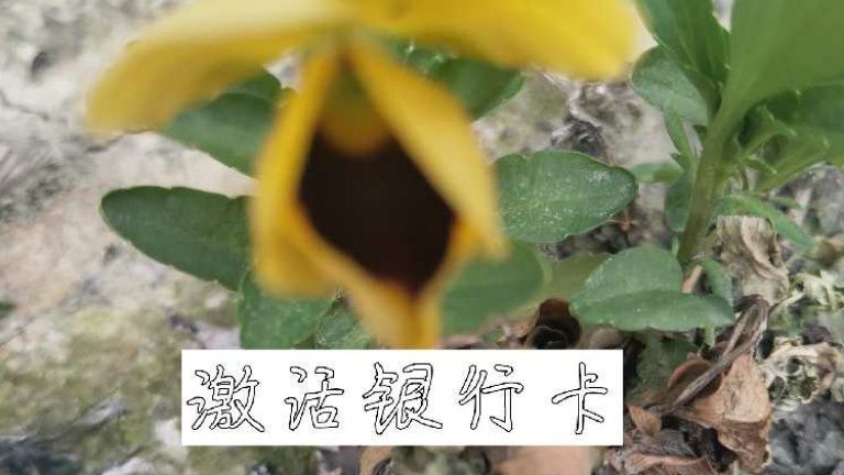 有梦少年分享去厂区激活银行卡的过程,感觉有点热,希望有。