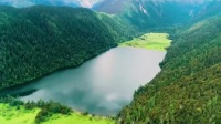 森林抚育:让青山常在绿水长流