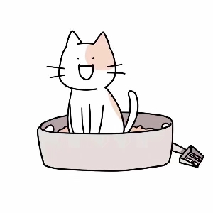 木离猫 