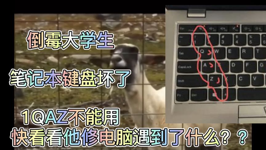 倒霉大学生笔记本键盘1QAZ打不了字,一个上午去修电脑遇到了什么