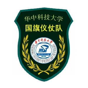 华中大国仪 