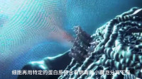 新冠病毒如何入侵人体细胞的呢?看过后,你想到了一个什么词语?