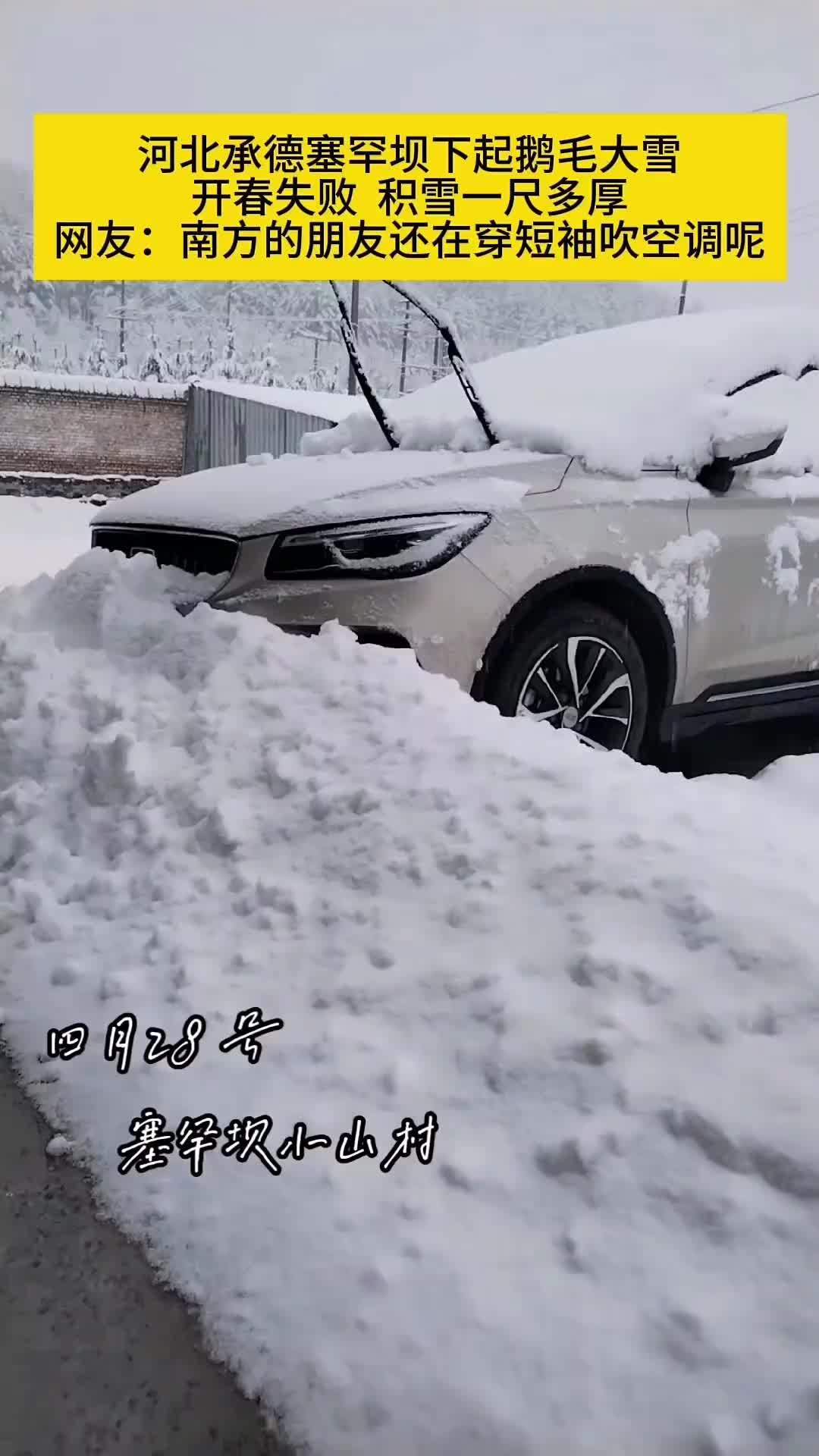 河北承德塞罕坝下起鹅毛大雪 开春失败 积雪一尺多厚 网友: