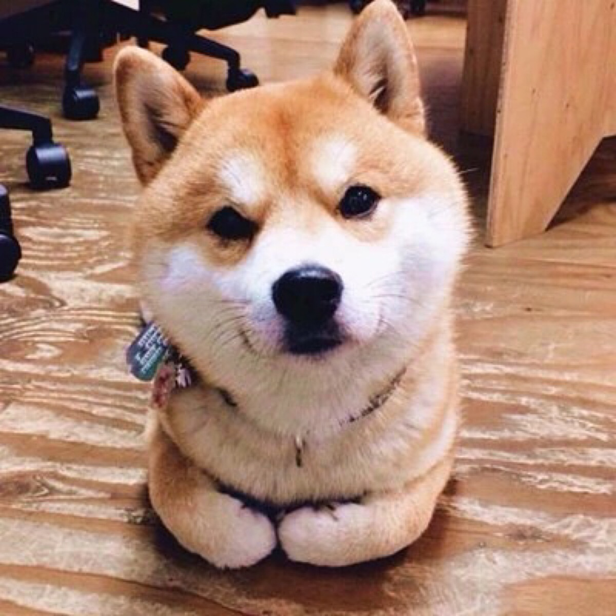 笑跪了 