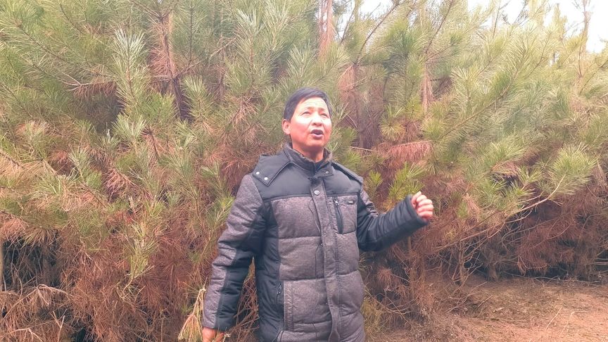 甘肃农民歌手漫花儿,经典民歌《水红花令》,十八条骡子走泾阳