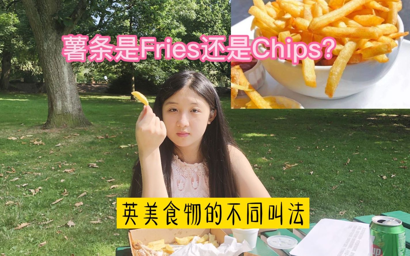 |英式英语|薯条是 Fries 还是 Chips?茄子是 Eggplant 还是 Aubergine?说...