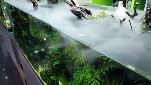 雾化器在鱼缸里的作用