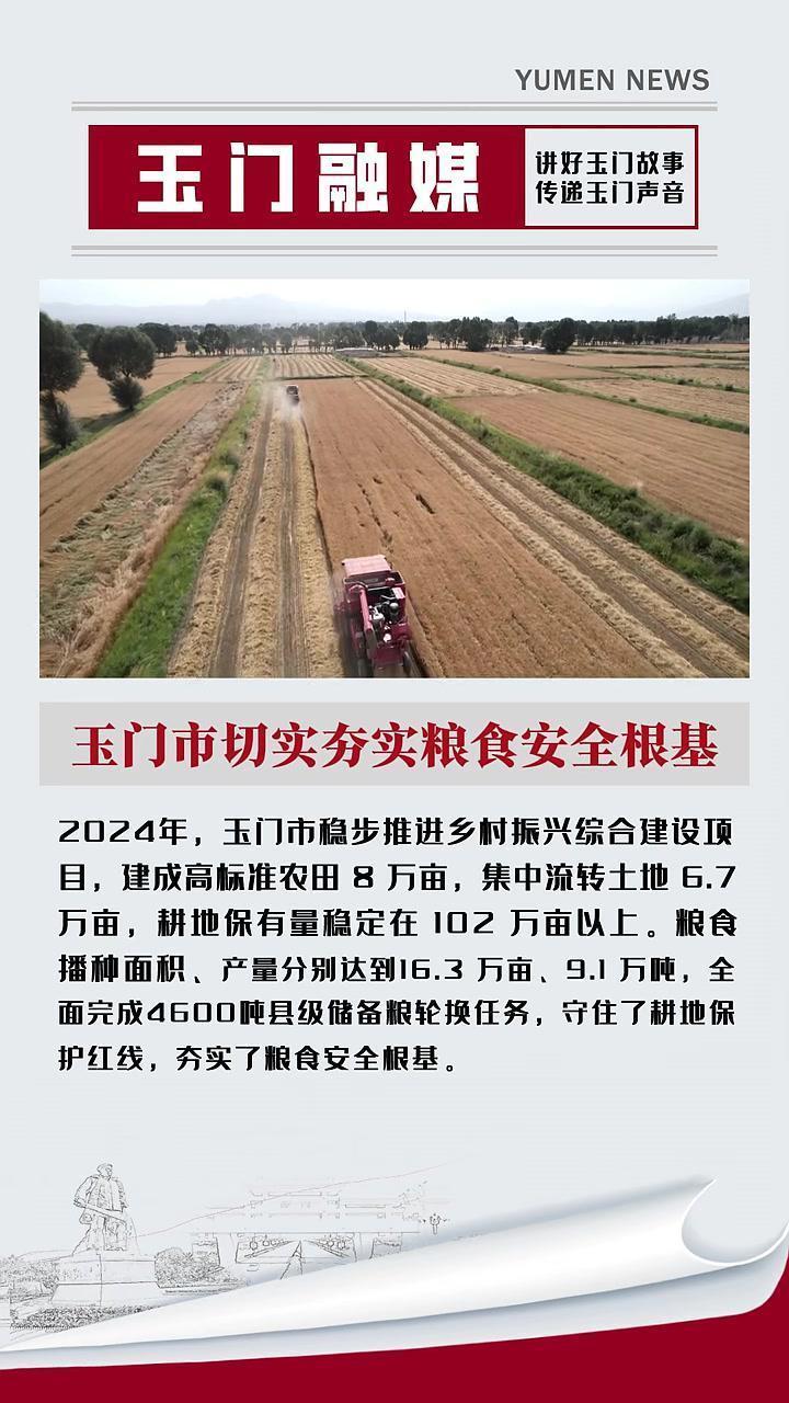 玉门市切实夯实粮食安全根基