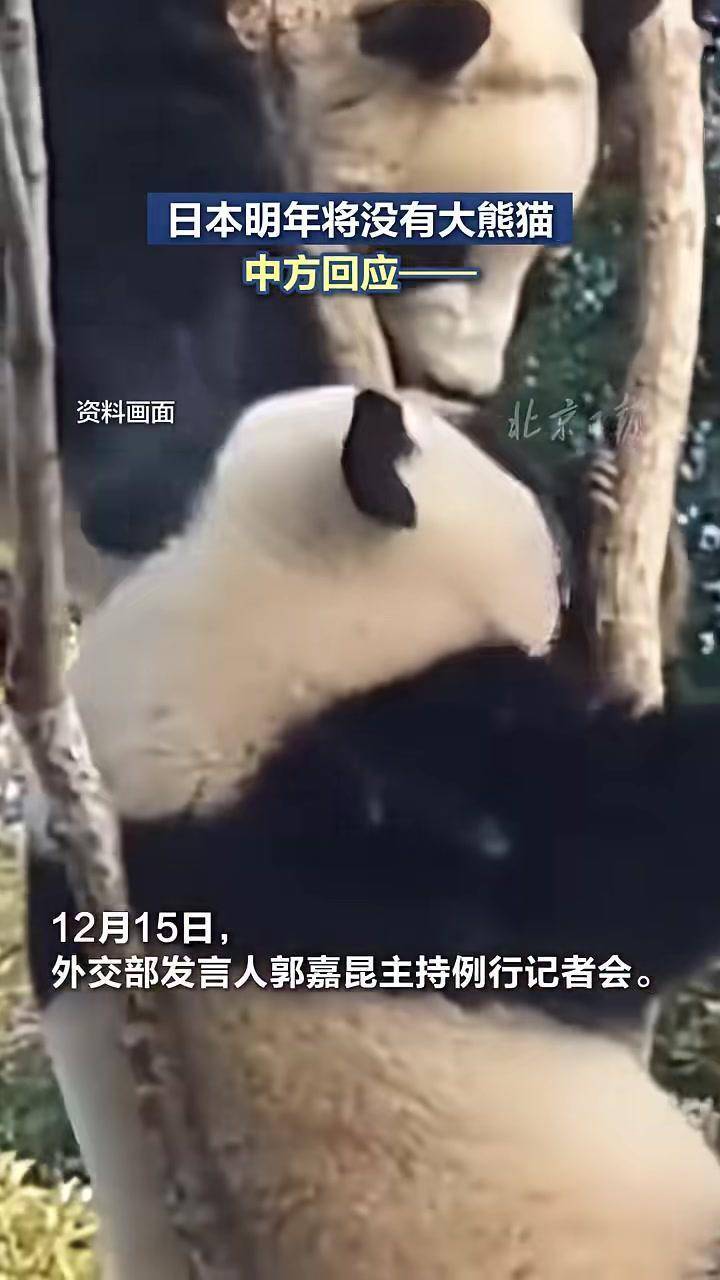 ...12月15日,外交部发言人郭嘉昆主持例行记者会。日本朝日电视台记者...