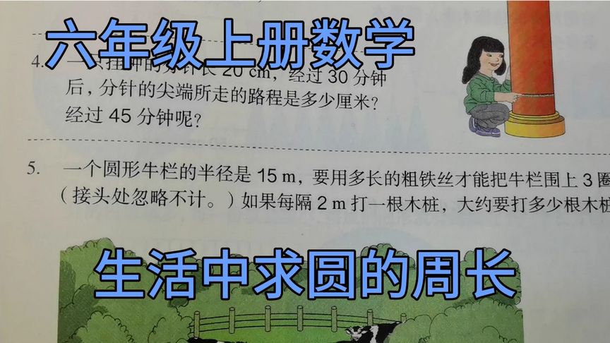 六年级上册数学第五单元圆(2.圆的周长)练习十四第65页第4题