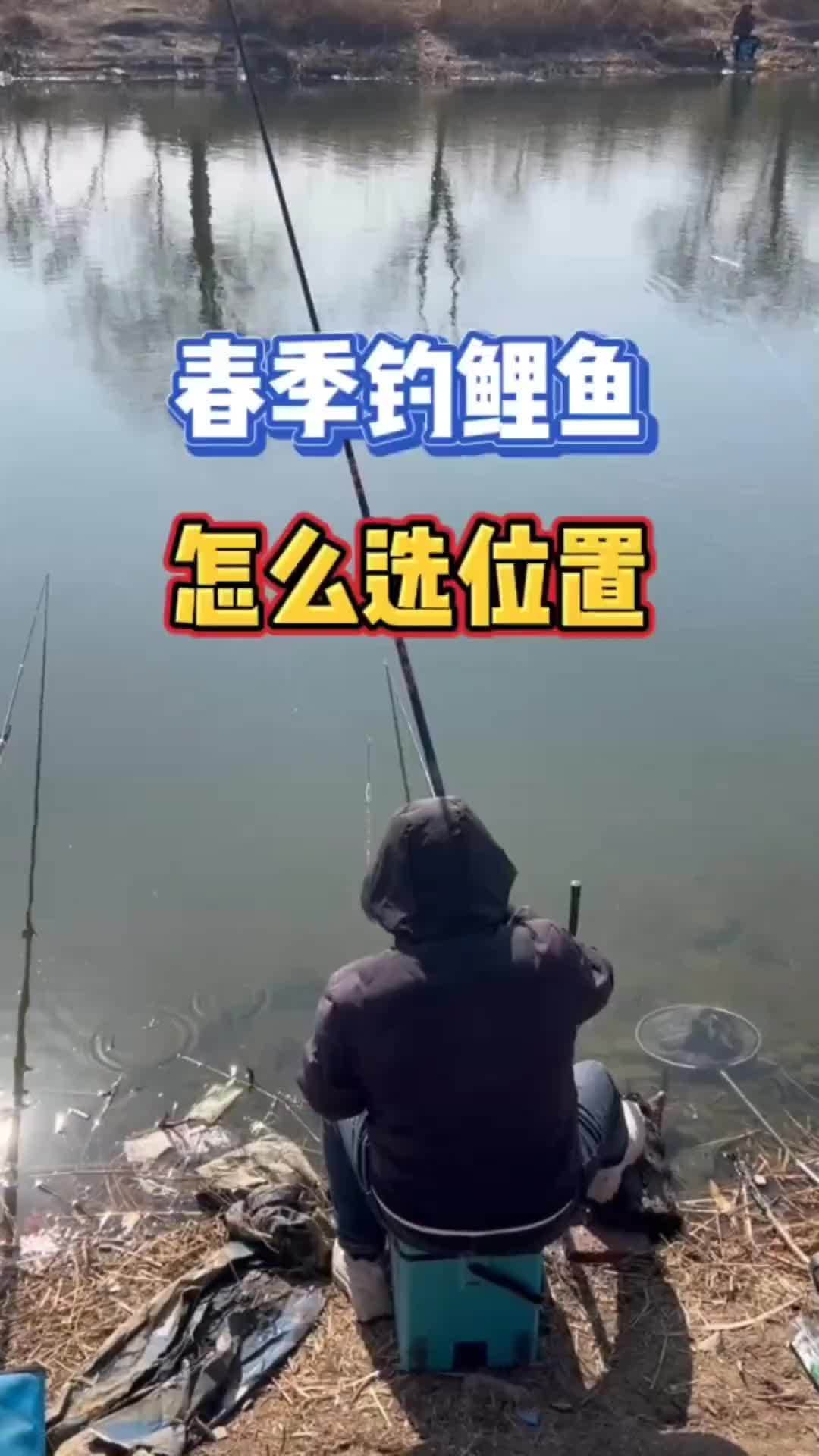 春季钓鲤鱼怎么选位置