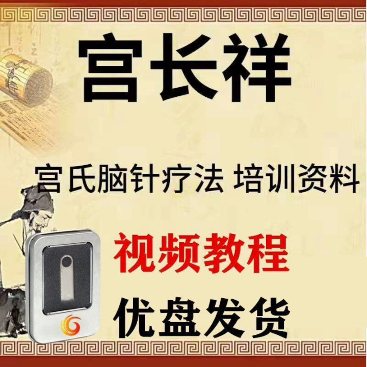 宫长祥视频学习教程U盘宫氏脑针疗法培训资料讲义中医入门零基础