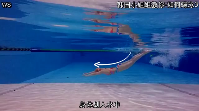 韩国小姐姐教你-如何蝶泳3--北京白石翻译