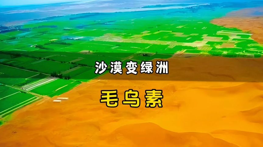 治沙人靠种树,让千年沙漠变绿洲,为他们点赞!