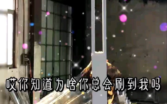 景观灯厂家,LED景观灯