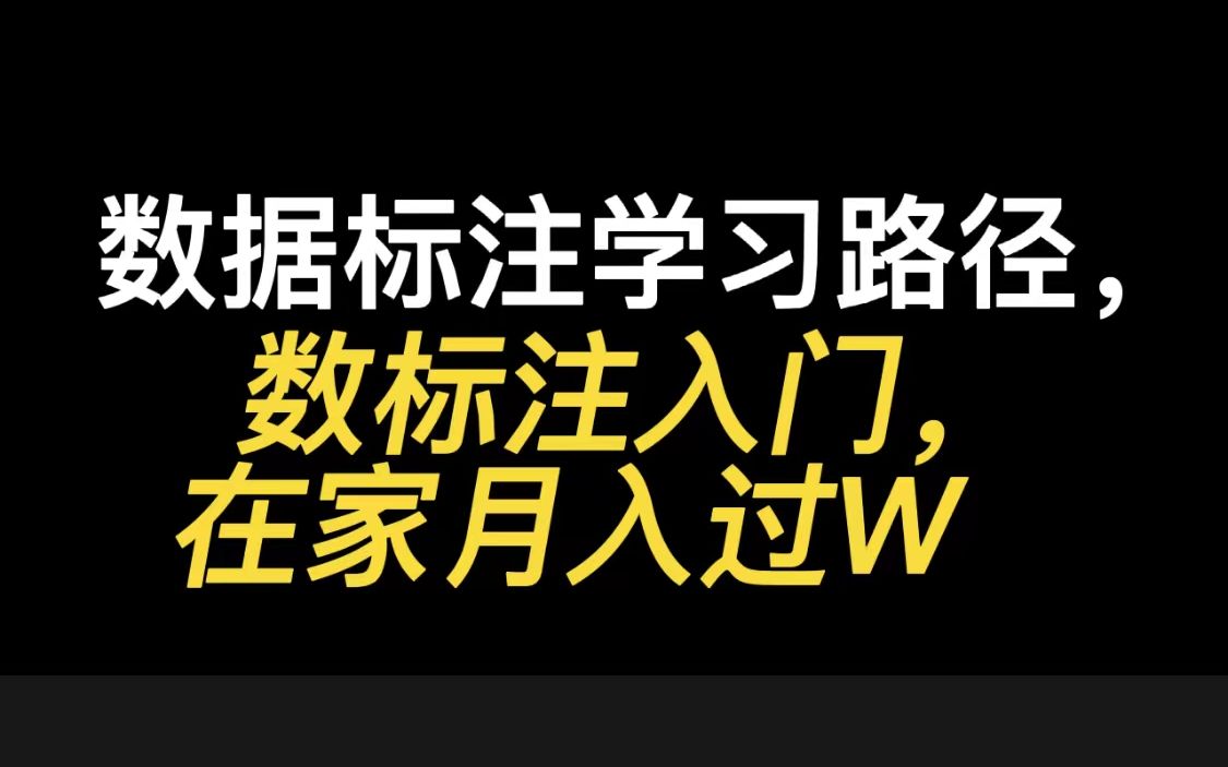 保姆级数据标注学习路径,数标注入门,在家月入过W