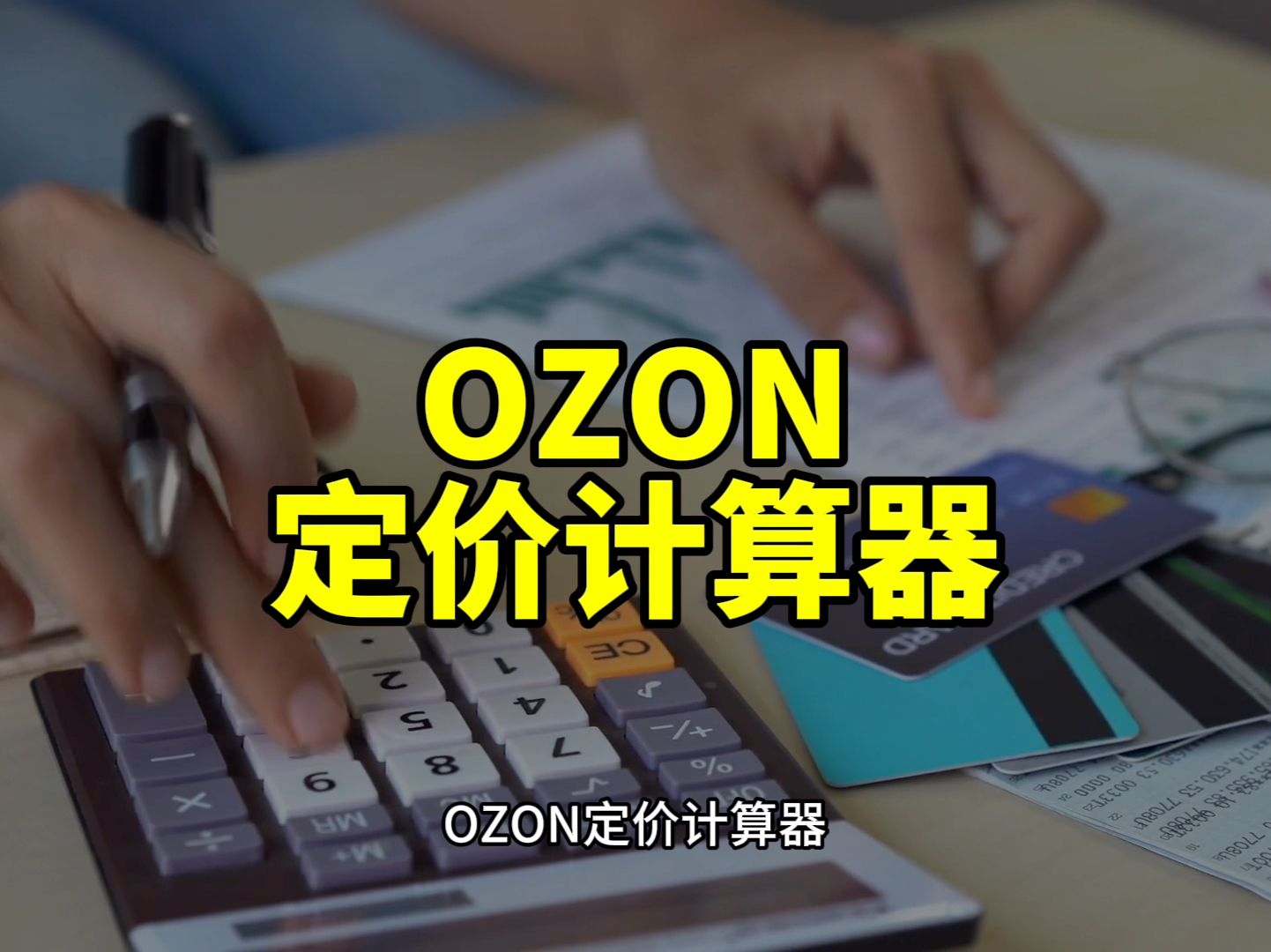 OZON定价计算器