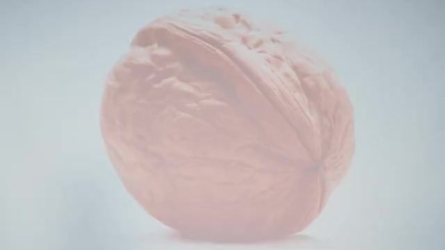 核桃编程校园招聘短视频