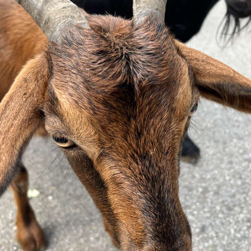 这里的创意不值钱 