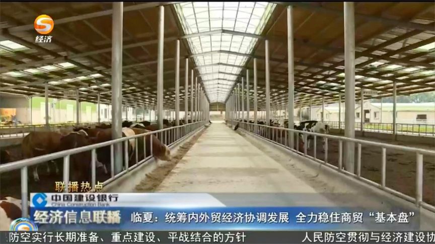 临夏:统筹内外贸经济协调发展 全力稳住商贸“基本盘”