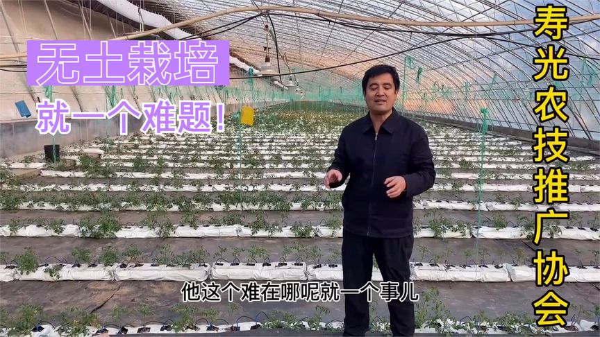 无土栽培就一个难题,学会了这个,无土栽培比土壤种植都简单!
