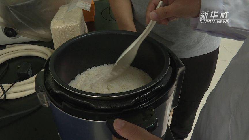 走进杂交水稻研究中心 | 杂交水稻好在哪?