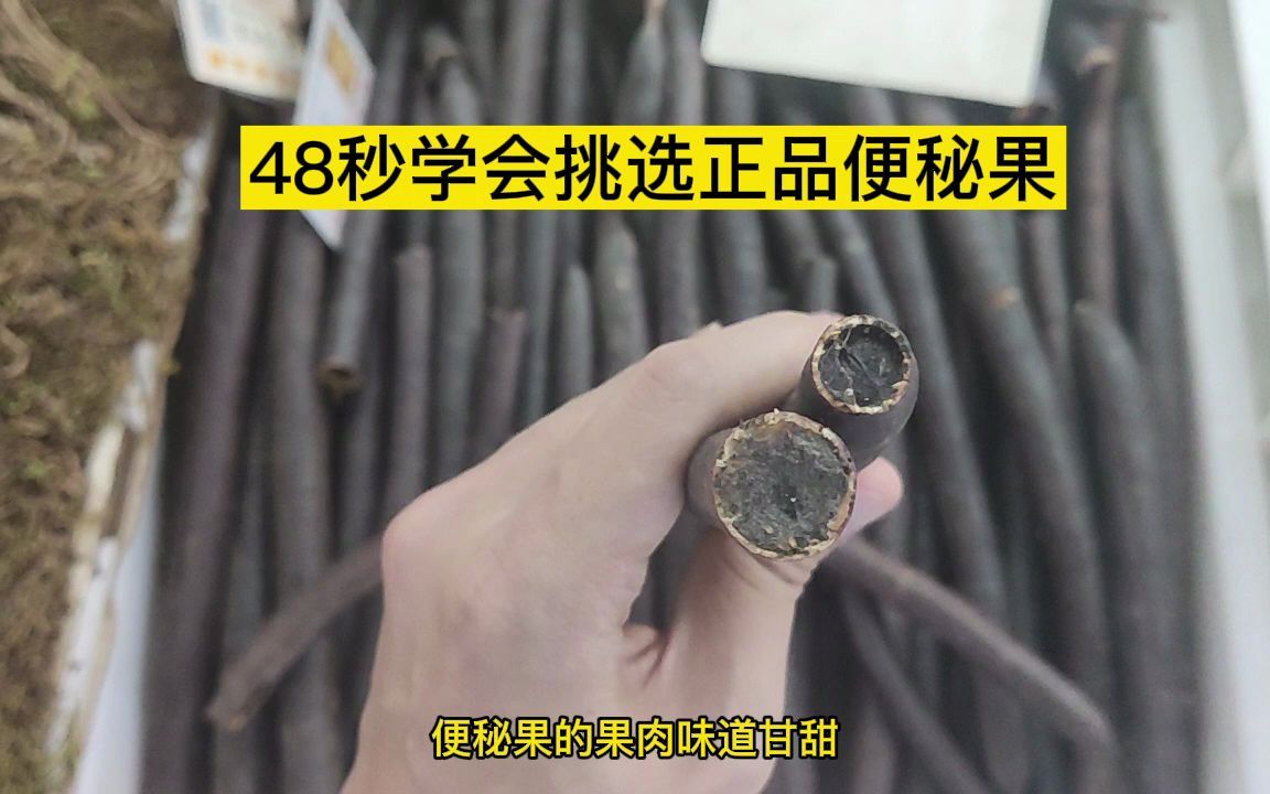 拉不出臭臭?48秒学会挑选正品便秘果!