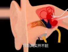 3D动画经常掏耳朵会影响听力,严重的会导致耳鸣,劝你重视