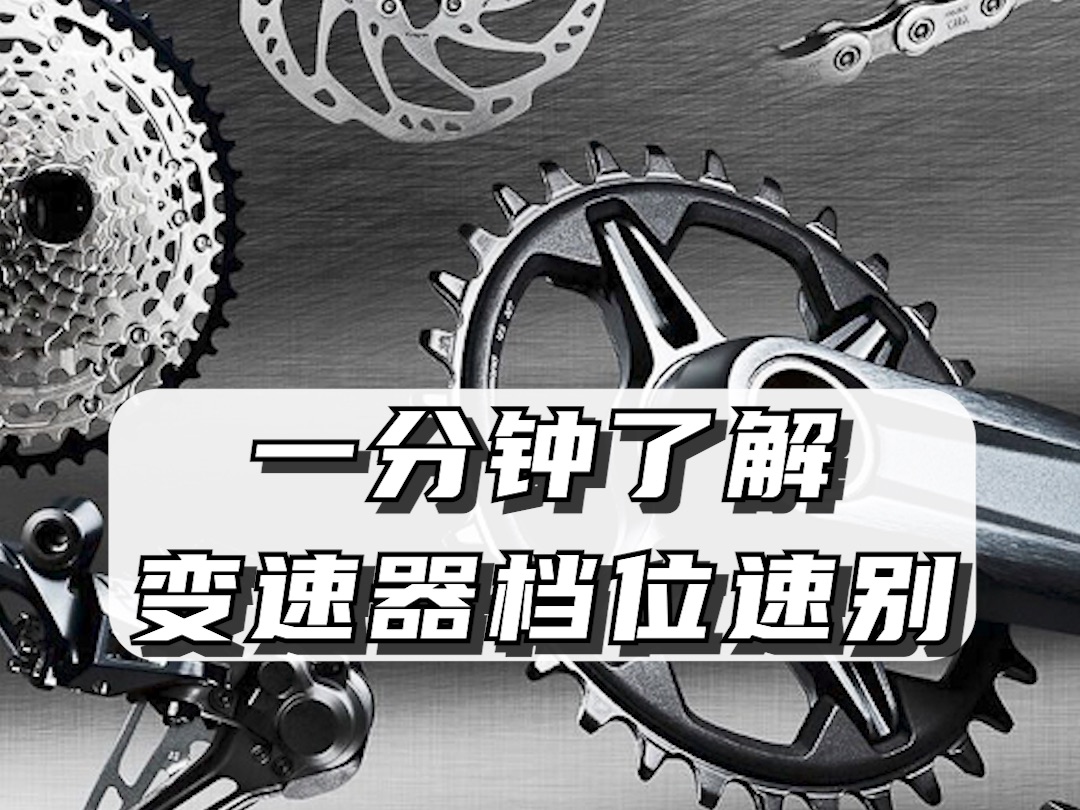 一分钟了解变速器档位速别