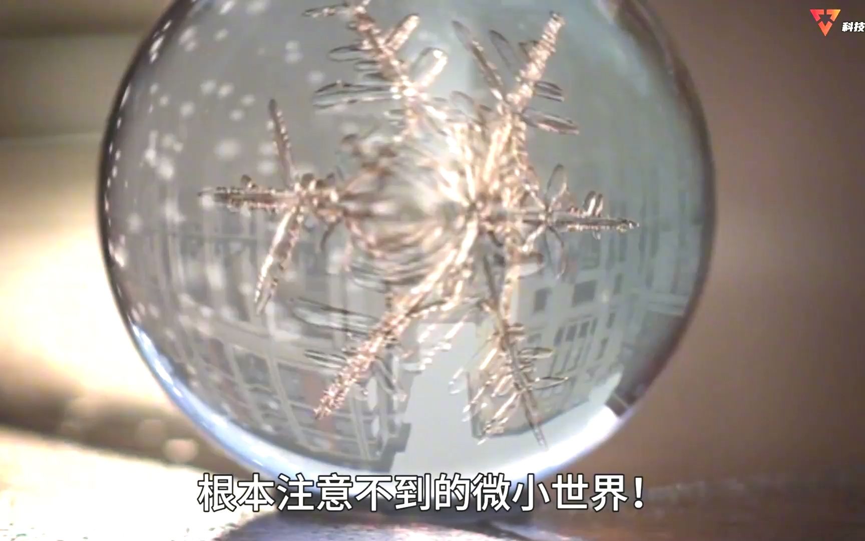 地球上的微小世界能有多小?小到你用肉眼根本看不见!