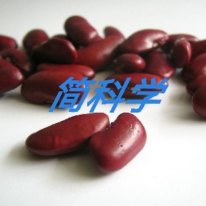 豆豆简科学 