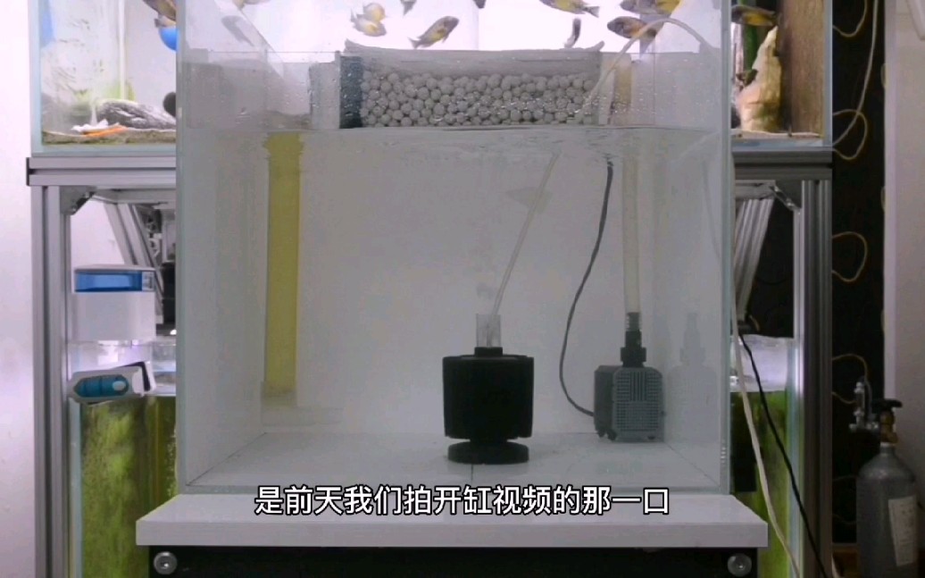 如何加强鱼缸过滤,上滤缸怎么加强,上滤缸提高过滤效果,鱼缸反气举制作