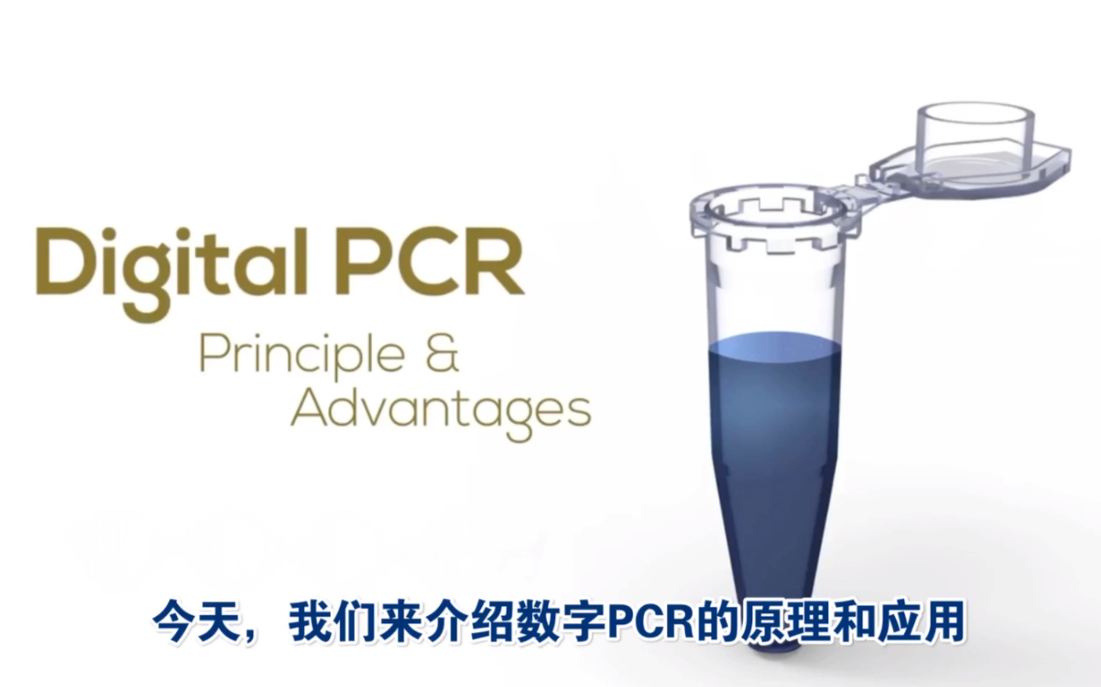 实验原理_数字PCR