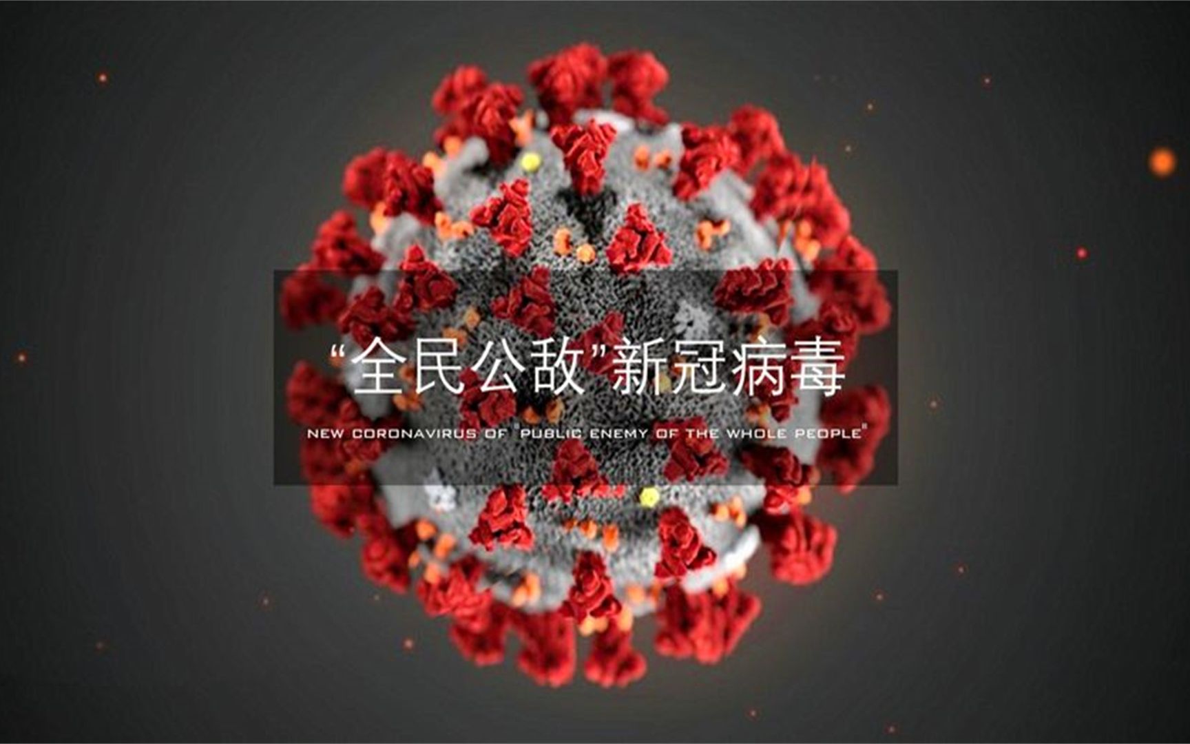 新冠病毒有多可怕?这种“RNA病毒”更易变异,为何治愈更容易?