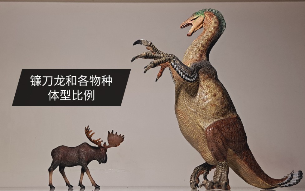 镰刀龙和各物种体型比例