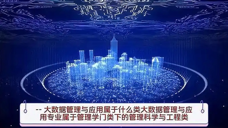 大数据管理与应用,专业分类大揭秘!