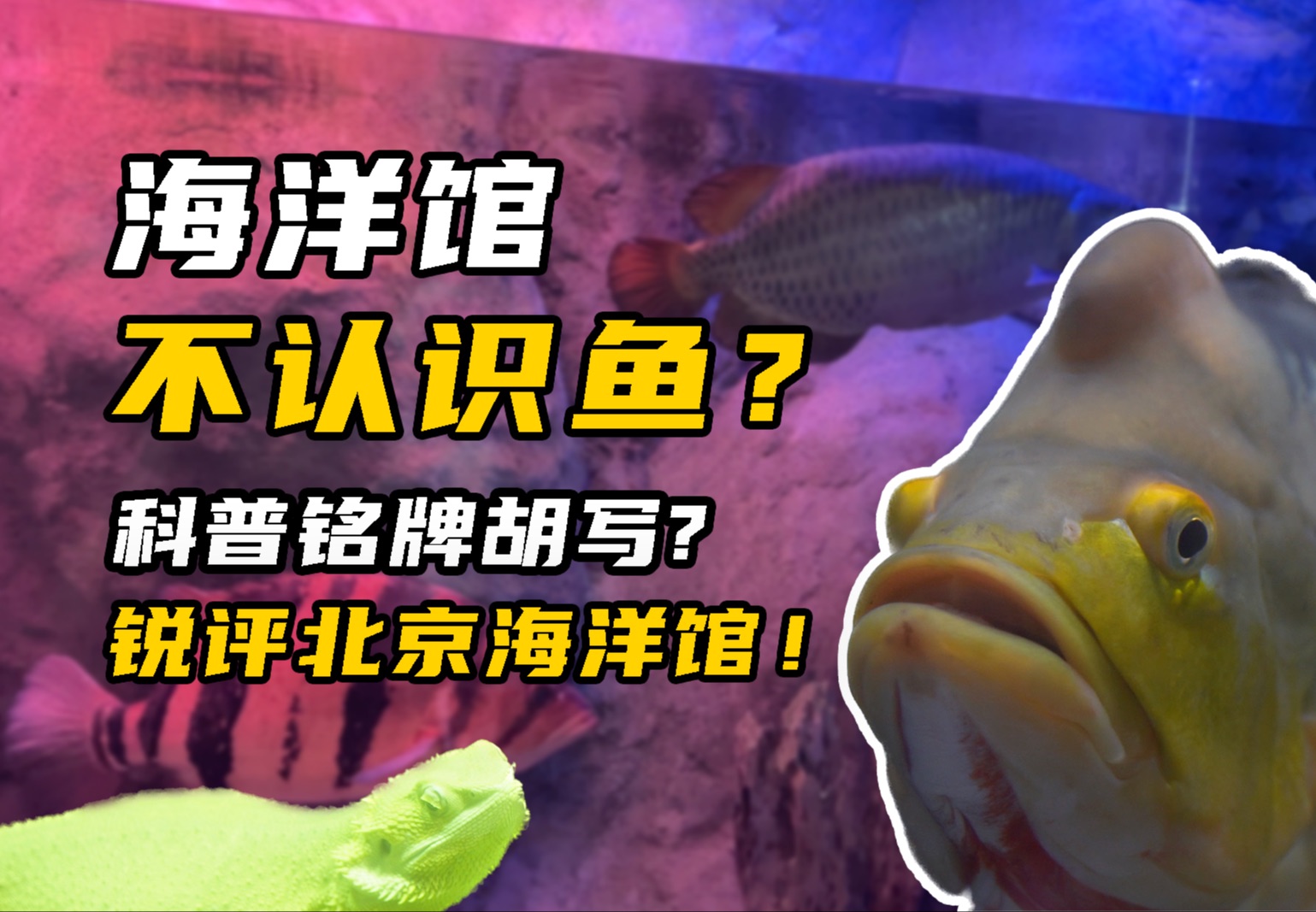 海洋馆不认识鱼?锐评北京海洋馆淡水篇!