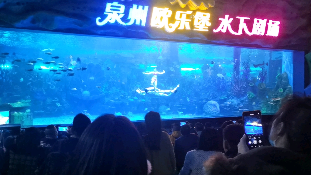 泉州欧乐堡海洋王国水下剧场美人鱼