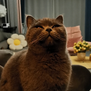 又来寻宝了 