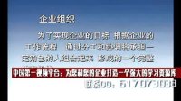 尹隆森—企业组织结构设计与部门职能划分