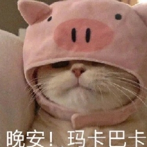 海拔8000米 
