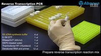 Reverse Transcription PCR(逆转录PCR)